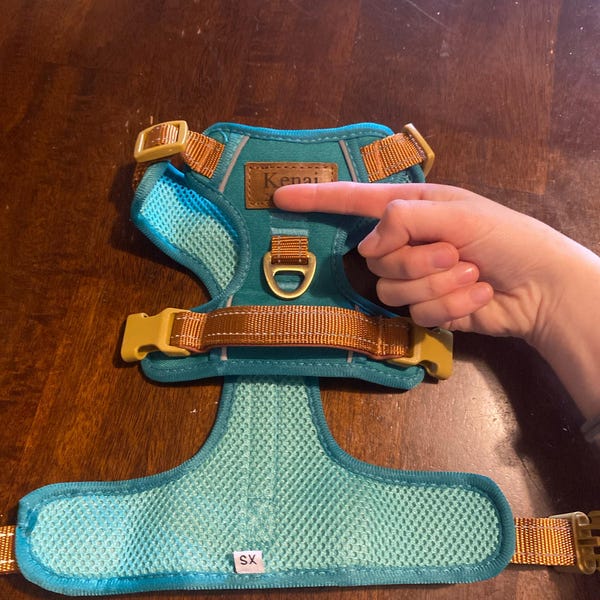 Personalized Pet Harness, Night Reflective Collar With Customized Name ...