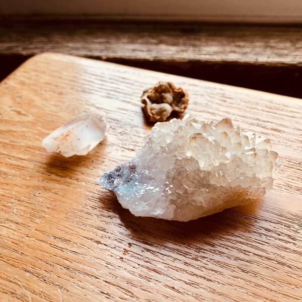 Great Lakes Jar | Sea Shells | Wildflowers | Crystals - Etsy