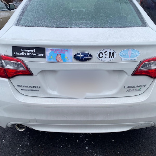 Student Driver | Sad Hamster Car Bumper Sticker | Crying Funny Cute ...
