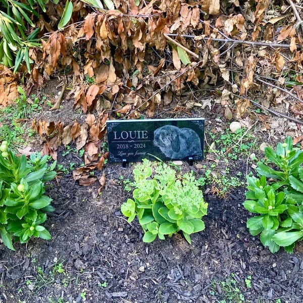 Rabbit Burial Stone | Pet Headstone Photo | Engraved Granite Outdoor ...