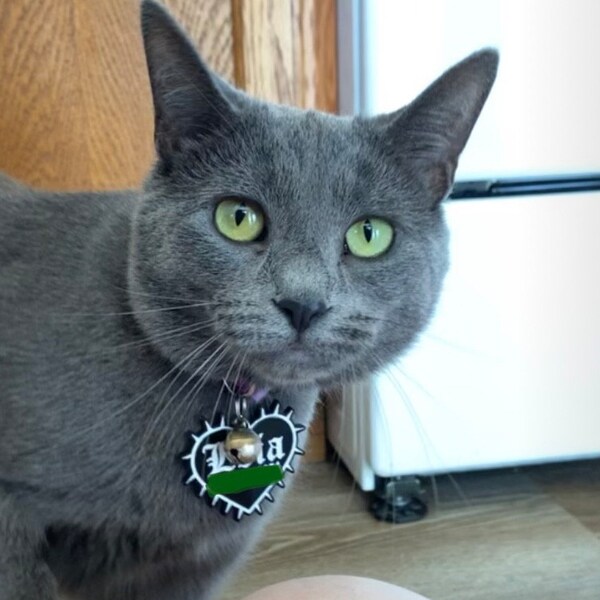 Handmade Wooden Pendulum: Spiritual Tool, Alter Tools, Divination Tools ...