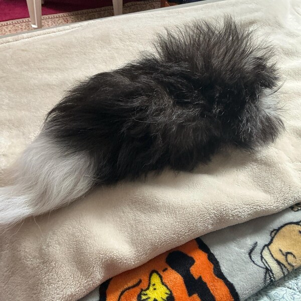 Springbok Pelt Natural Color Genuine Deer Fur Blesbok Antelope Pelt ...