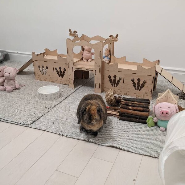 Giant Castle for Your Lovely Rabbit - Etsy