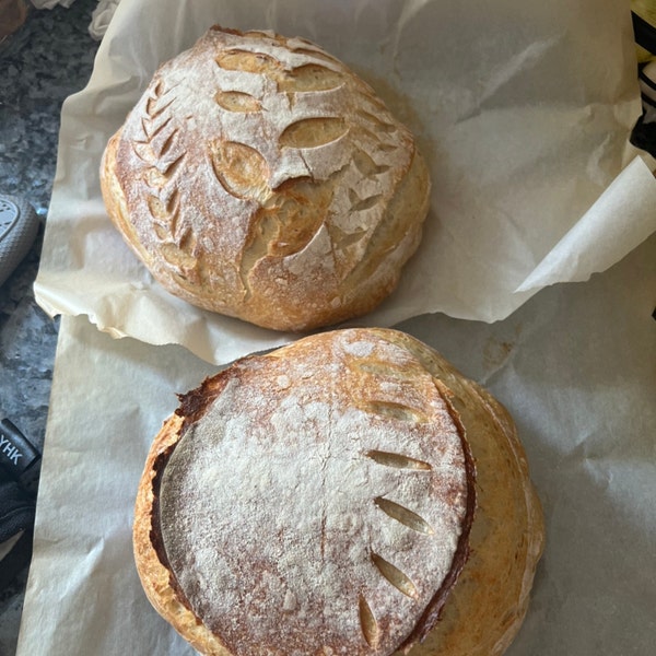 DIGITAL ABC Scripture Memory Verse Flashcards Bible Verse Alphabet ...