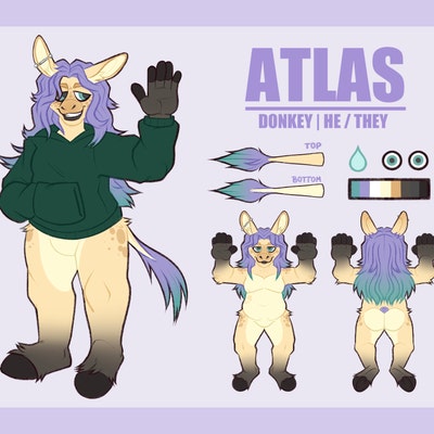 Complex Furry / Fursona Reference Sheet - Etsy