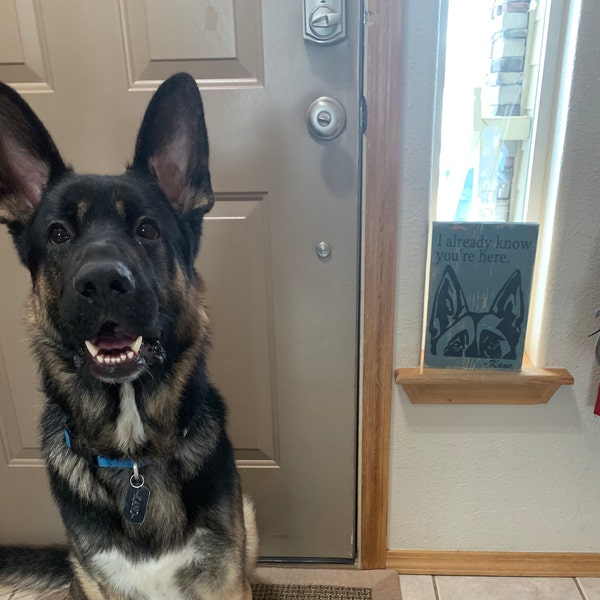 Belgian Malinois I Already Know You're Here Sign, Porch Warning Sign ...