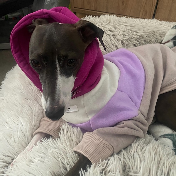 Italian Greyhound/whippet Navy Blue Hoodie With Stripes, Dog Clothes ...