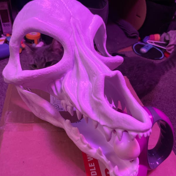 Toony Cat Feline Bone Skull Mask Movable Moving Hinge Jaw 3D Printed ...