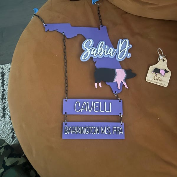 Custom State Shaped FFA Pig Stall Sign: Birch Wood Animal Name Tag, FFA ...