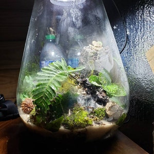 Bio Bottles Emerald Garden Mini Desktop Terrarium bubble Cup Set Wabi ...