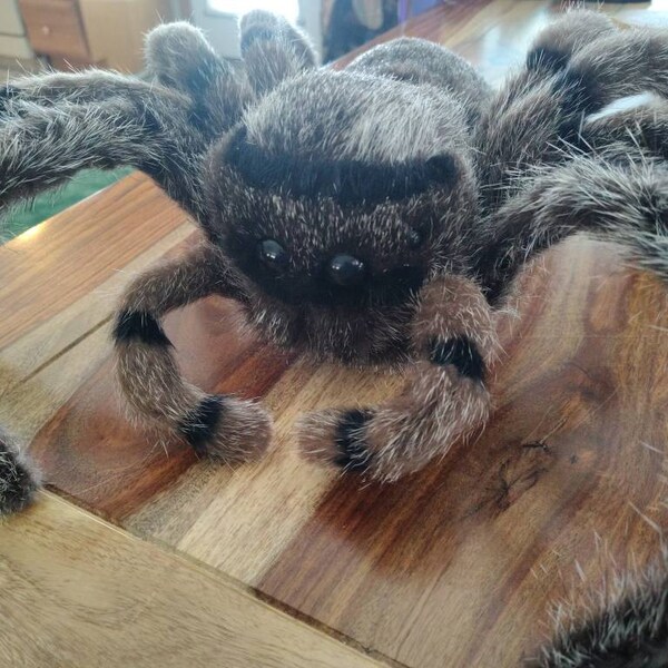 Realistic Tarantula Spider, Poseable Shelf Decor, Wall Mountable Faux ...
