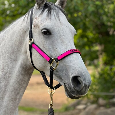 Personalized Nylon Sheep Halter - Etsy