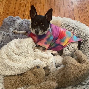 Black Colorful Striped Dog Top Liverpool Textured Knit Dog | Etsy