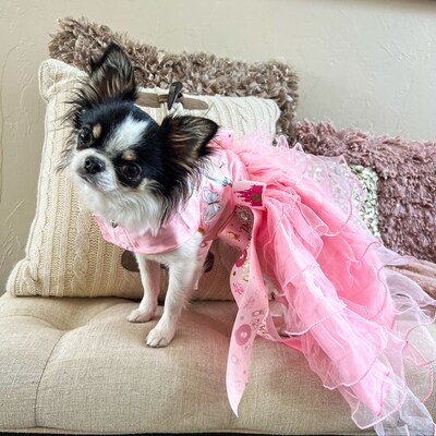 Dog Show Training Stack Box Toy Adult Size Stack Training 20 X 12 ...