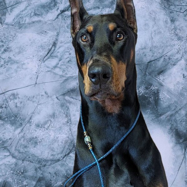 Custom Dog Breed Laser Engraved Acacia Charcuterie Boards - Etsy