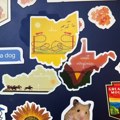 Cello Water Bottle Sticker Instrument Stickers Cellist Gift - Etsy