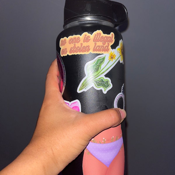 Land Back Sticker- Waterproof- Stolen Land- Indigenous- Land ...