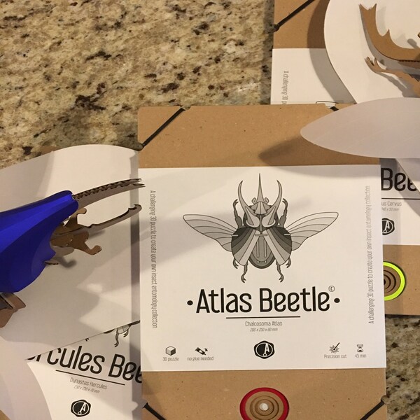 3D Atlas Beetle Kit - Etsy
