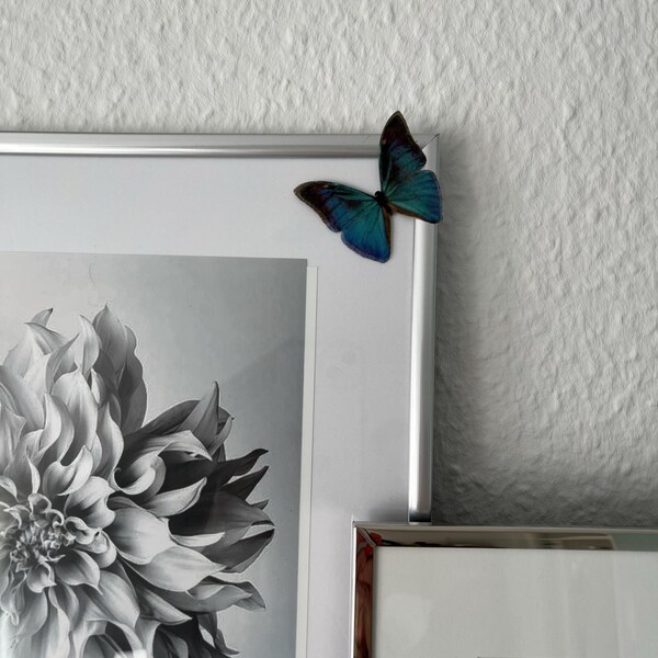 Ghost Silk Moth Earrings, Realistic Luna Moth Wings, Moon Moth ...