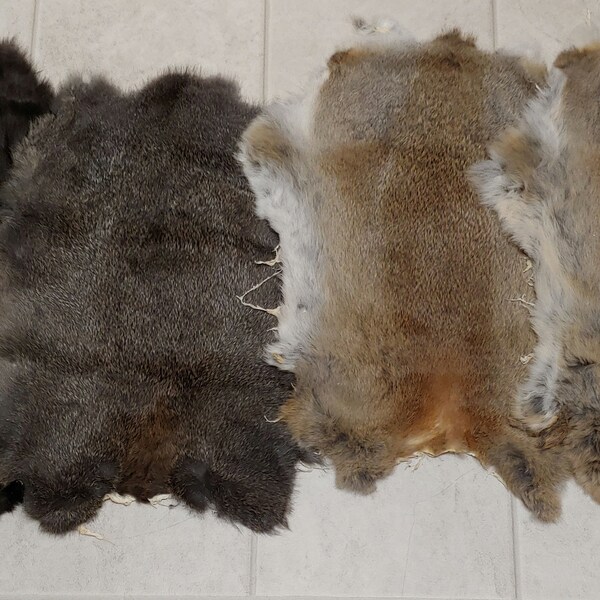 Assorted Natural Color Rabbit Fur Pelts - Craft Grade 5pk Assorted! - Etsy
