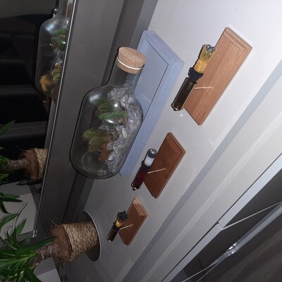 22 CB Cap 22 Conical Ball Acorn 6mm Flobert - Etsy