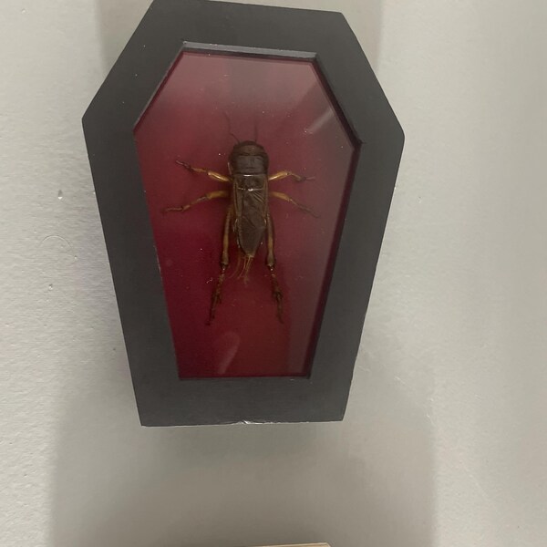 Personalized Handprints Mom and Children Flower Shadow Box, Mother's ...