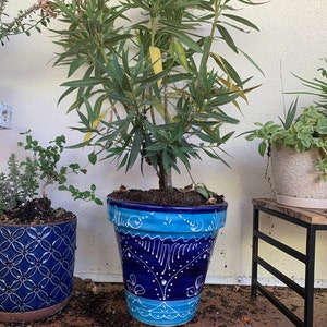 ZEST POTS Lightweight Pot Planter Modern Indoor/outdoor - Etsy