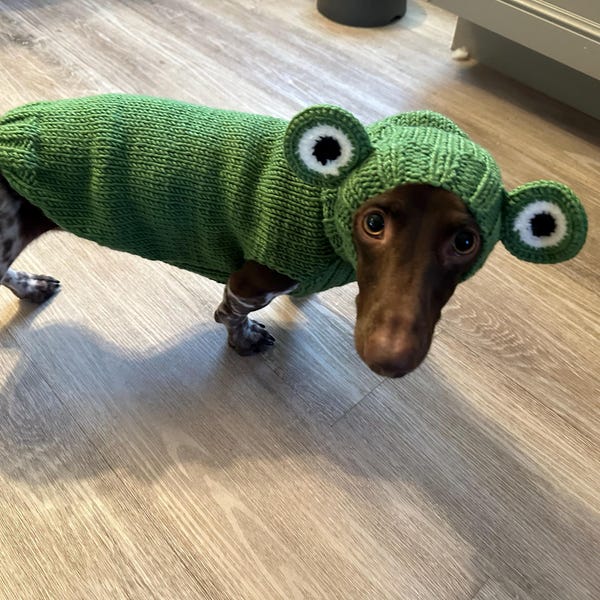 Pet Frog Costume - Halloween Costume Frog Sweater and Hat - Dachshund ...