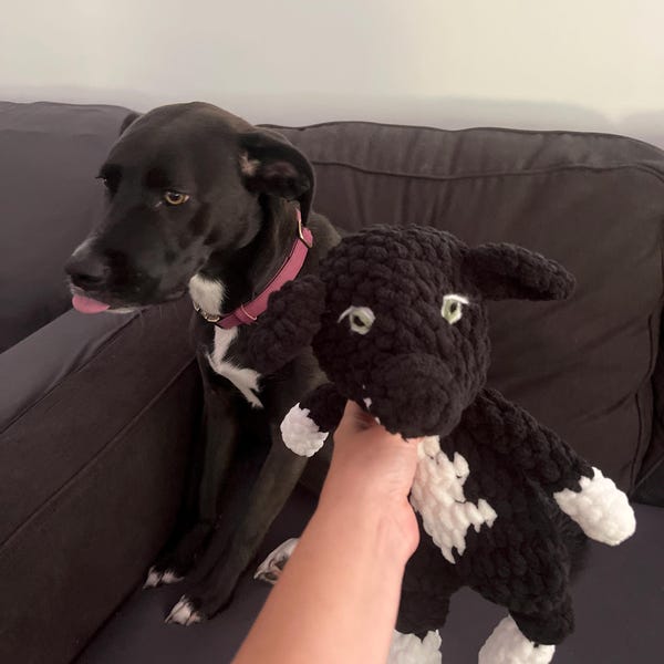 MINI Custom Crochet Plushee - Etsy