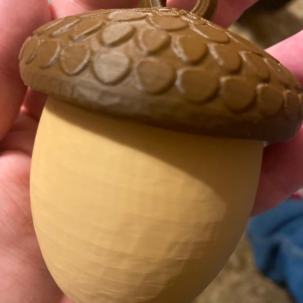 Acorn Geocache Oversized Container With Log: Stealth Cache Hide - Etsy