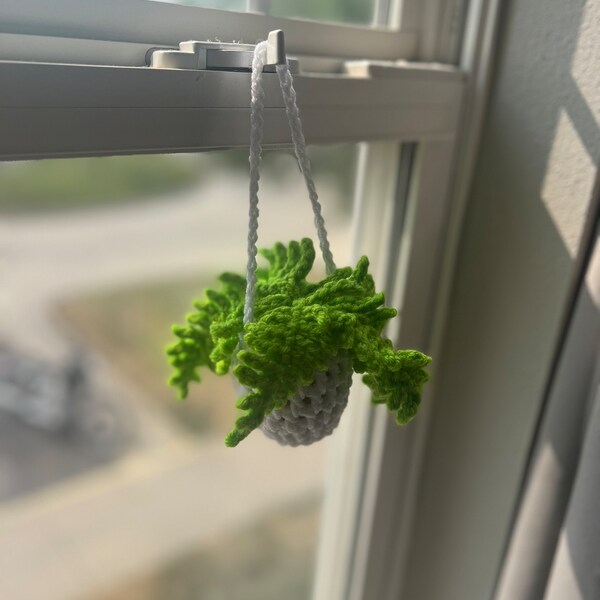 Car Fern Crochet PATTERN by Pamelambie Car Plant - Etsy