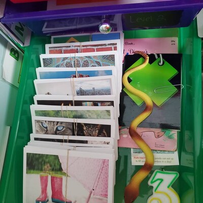 Picture Cleaning Charts and Task Cards for Kids digital - Etsy