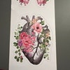 Anatomical Floral Human Heart Sticker,cardiology,vinyl Stickers,science ...