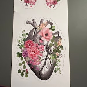 Human Anatomy Pelvis Art, Pink Roses Stickers,vinyl Stickers,science ...