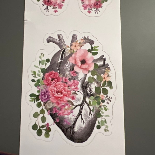 Anatomical Floral Human Heart Sticker,cardiology,vinyl Stickers,science ...