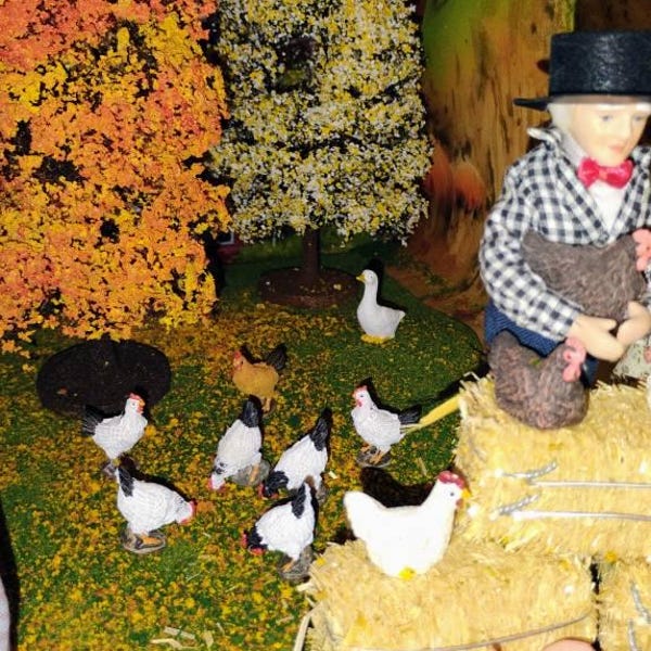 Miniature Chickens, Micro Mini Chicks, Rooster, Hens, Fairy Garden Farm ...