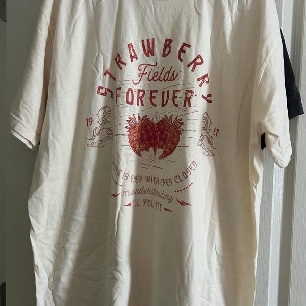 Concert Shirt, Old School Band Tee, Vintage Retro Band Tee, David Rock ...