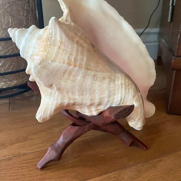 Large Wood Display Stand I Large Wooden Display Stand I Conch Shell ...