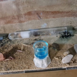 Sand Ant Farm Medium anthill, Formicarium, Educational, Ants NO ANTS - Etsy