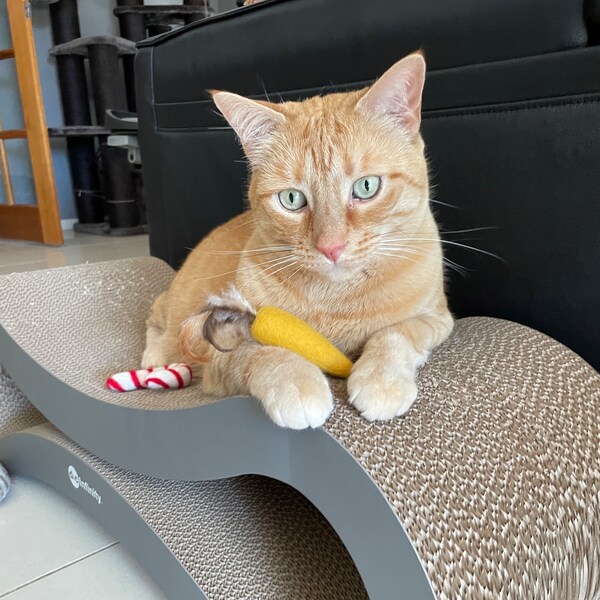 Felt Fairy Finger Puppets, Colourful Rainbow Gnomes and Fairy, Gifts ...