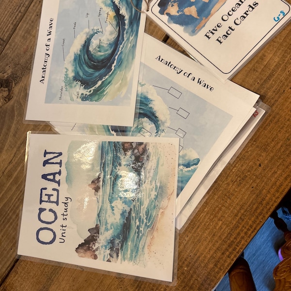 Birds Unit Study, Bird Anatomy, Bird Montessori 3 Part Cards, Owl Unit ...