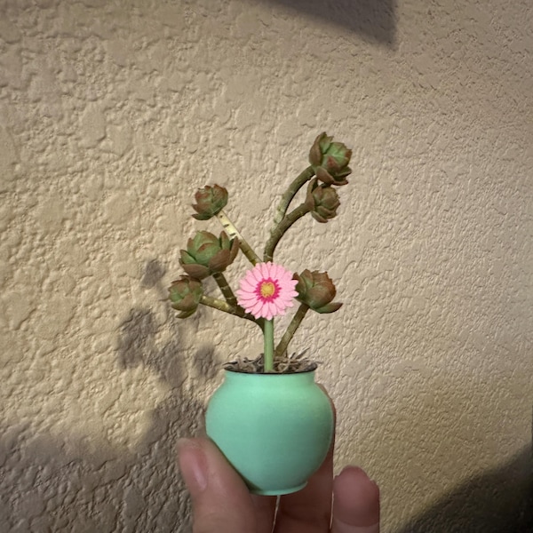 Maybe Happy Ending Hwaboon Broadway Musical Mini Desk Plant Ornament - Etsy