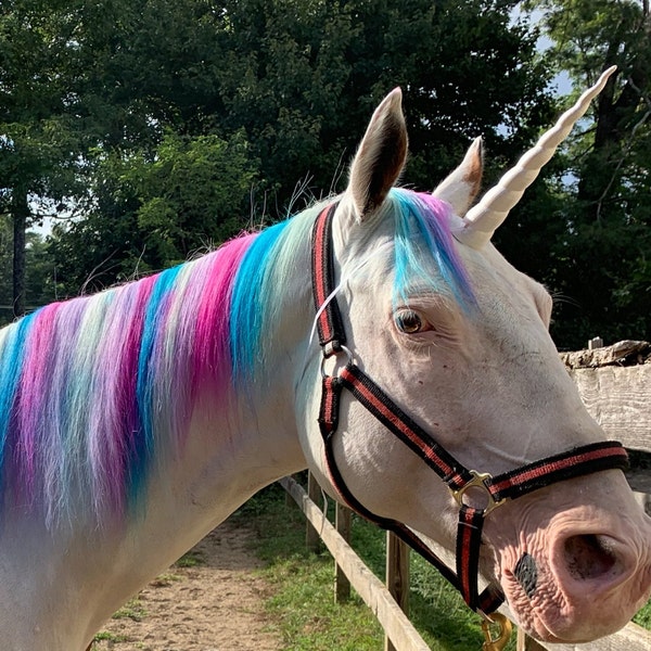 Horse Horn Unicorn Horn for Horse, Unicorn Horn Horse, Variety of Sizes ...