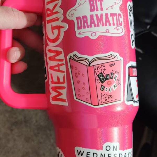 Mean Girl Stickers Vinyl Stickers Waterproof Stickers No REPEATS - Etsy