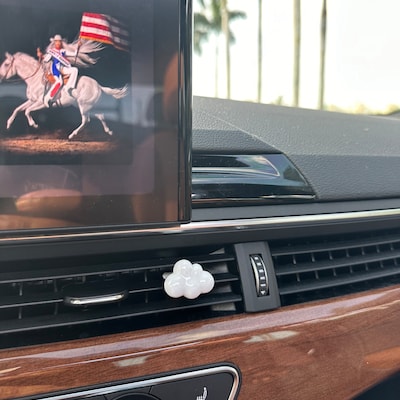 Red Ladybug Car Vent Clips, Insect Car Accessory for New Car, Cute Car ...