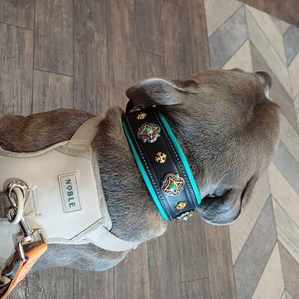 Leather Dog Harness Green Luxury Harness for Large Dog, Braided Ends ...