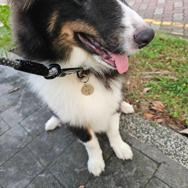 Personalised Dog Tag help Me Find My Humans Handmade Stainless Collar ...