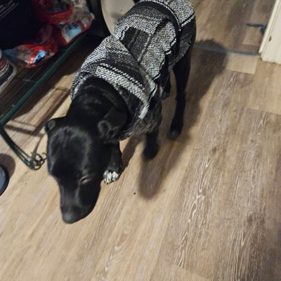 Baja Dog Poncho SIZE 3-mexican Dog Hoodie-mexican Poncho dog Sweater ...