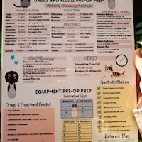 Veterinary Surgery Bundle, Vet Tech Notes, VTNE Prep - Etsy Canada