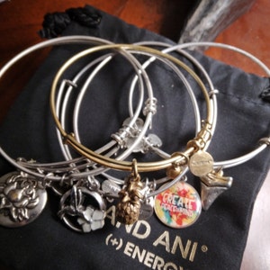Alex and Ani M Initial Bangle Bracelet, Rafaelian Silver/gold, or Silver Retired and Rare ...